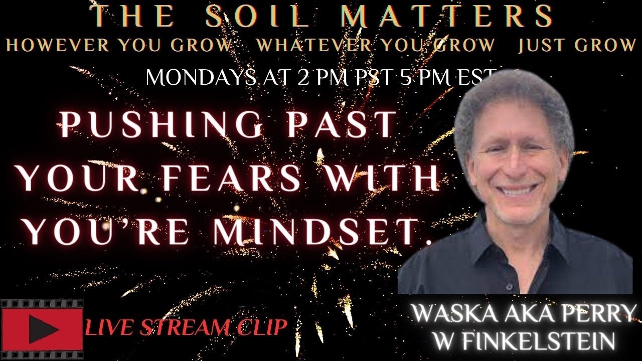 Pushing Past Your Fears With You’re Mindset. - YouTube