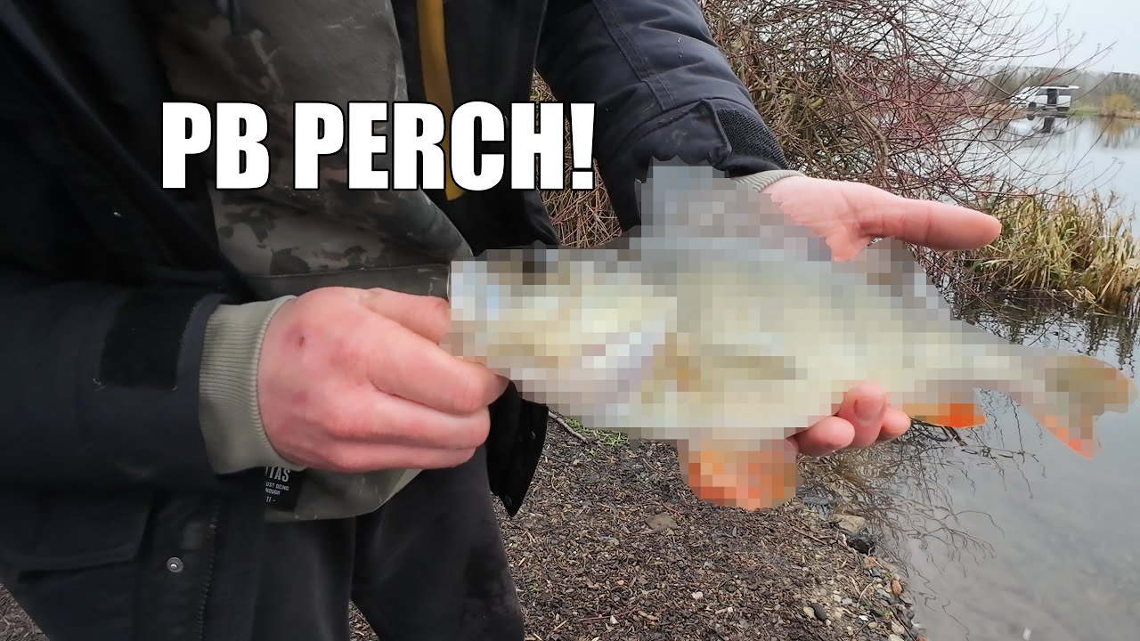 JOE'S PB PERCH AND A SURPRISING END! - YouTube