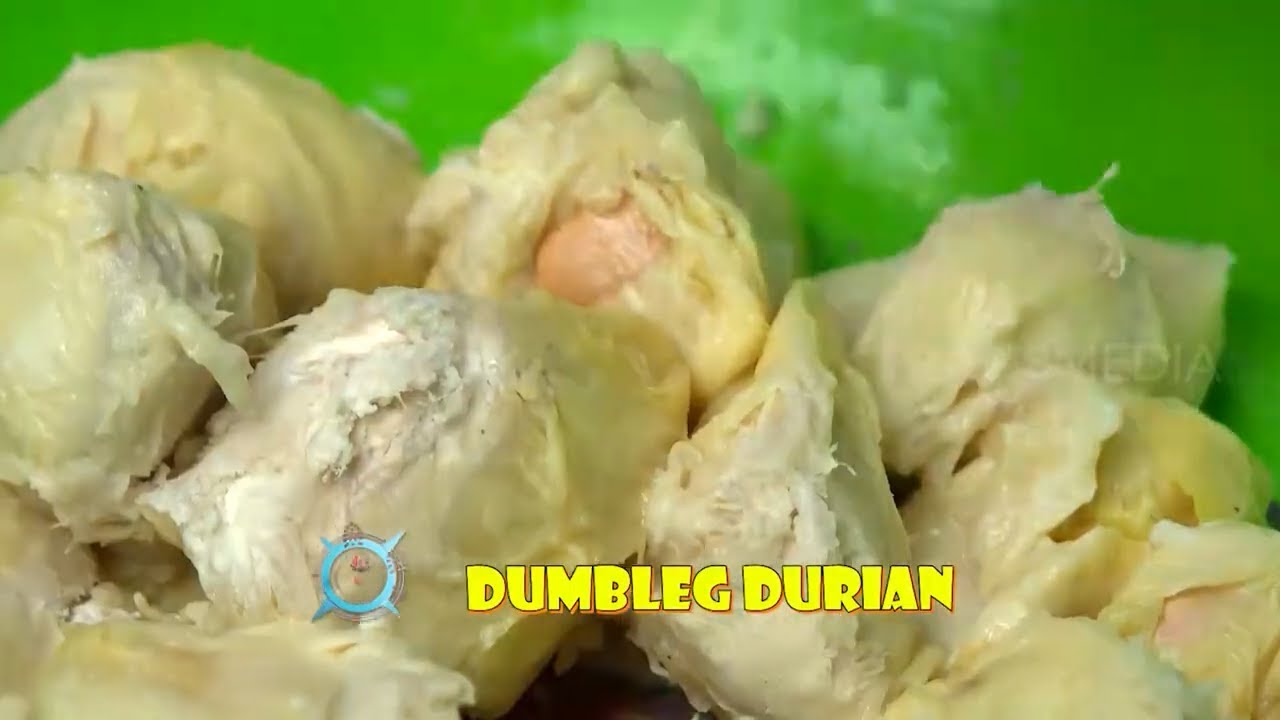 DUMBLEG DURIAN | JEJAK SI GUNDUL (25/10/22) - YouTube