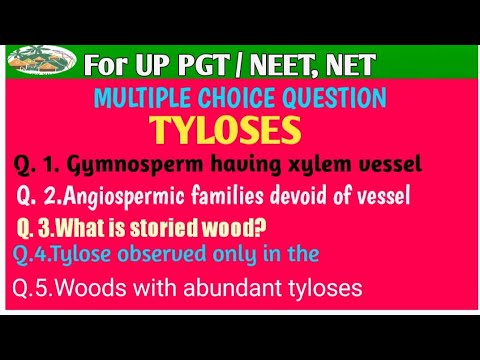 MCQs Based on Tylose Formation in Xylem Vessels - YouTube
