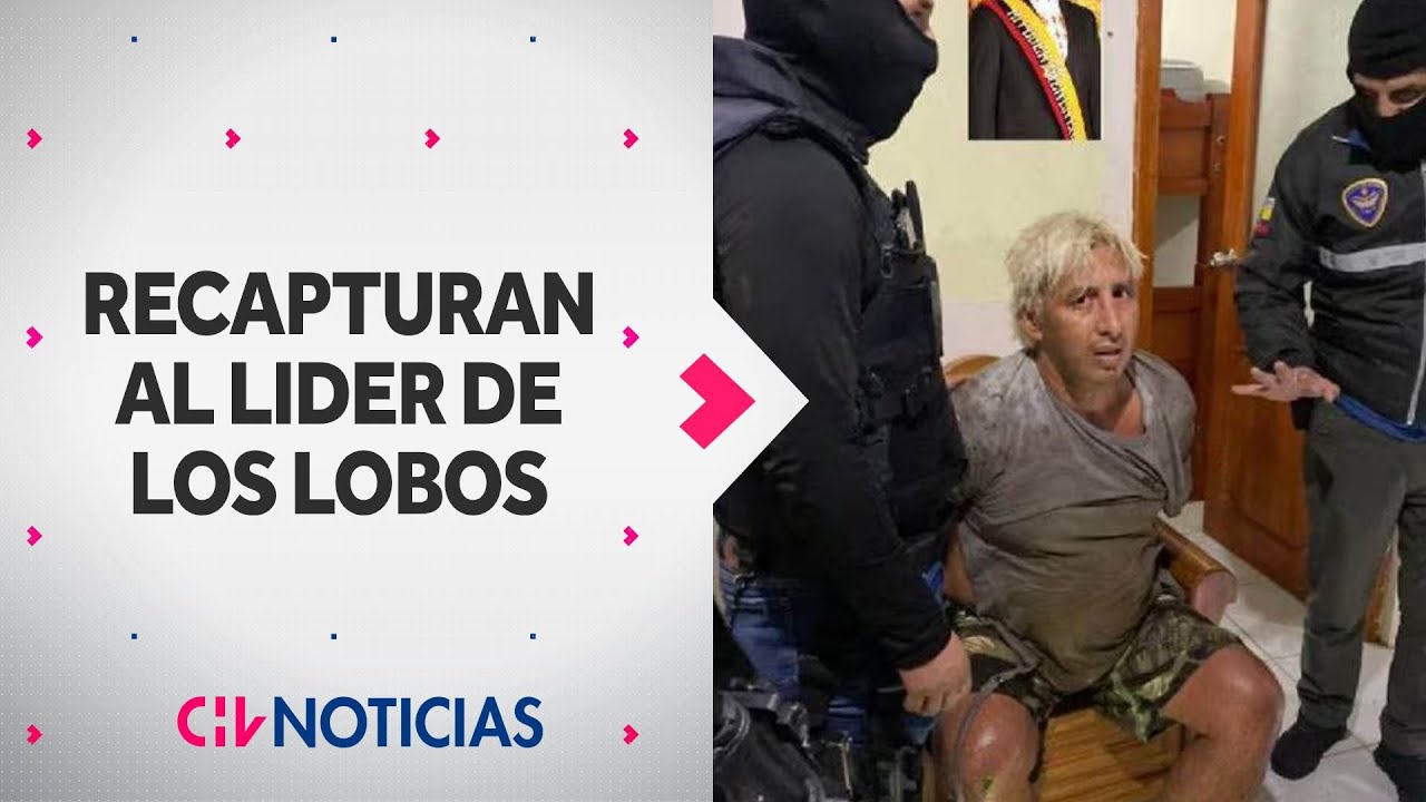 RECAPTURAN AL LÍDER CRIMINAL de Los Lobos en Ecuador: Había escapado de ...