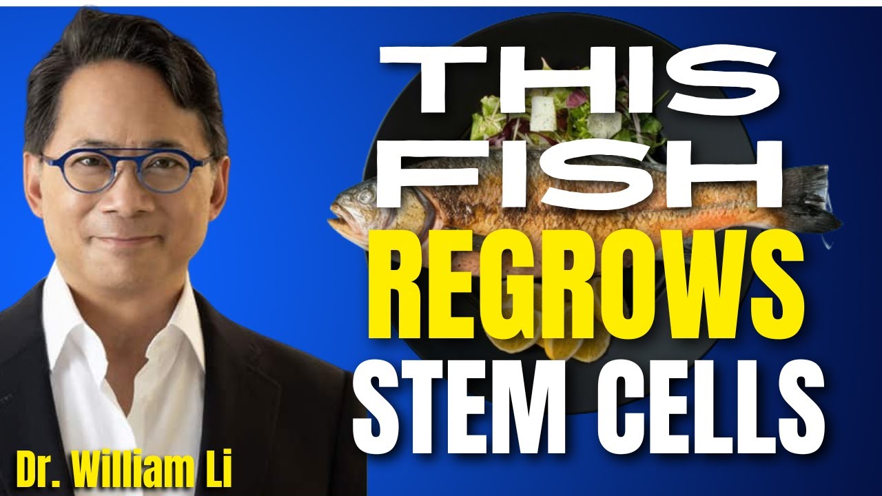 🤫 DOUBLE Your Stem Cells with THIS 🐠 Seafood Secret! Doctor Li's Age-Reversing FISH Revelation 🧬 ...