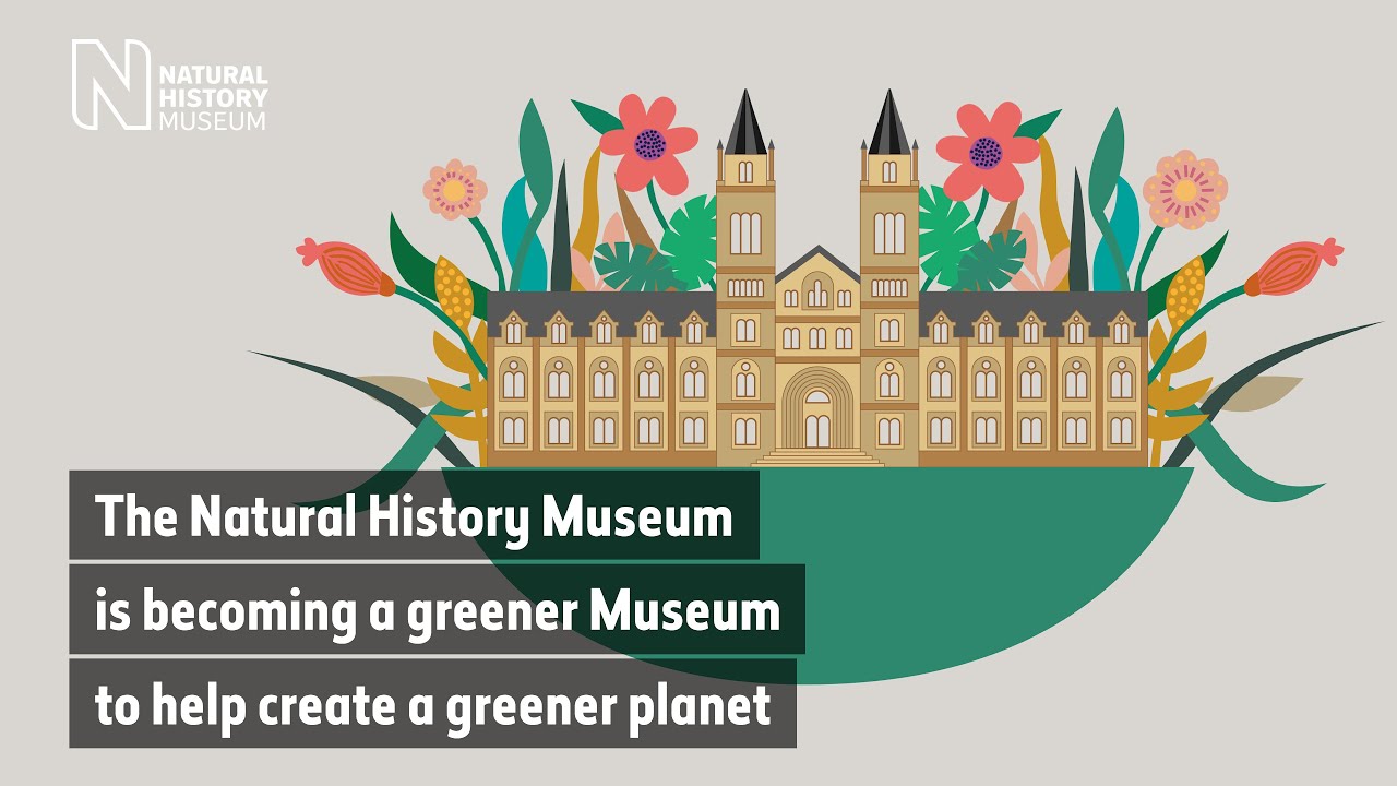 Our journey to become a greener Museum | Natural History Museum - YouTube