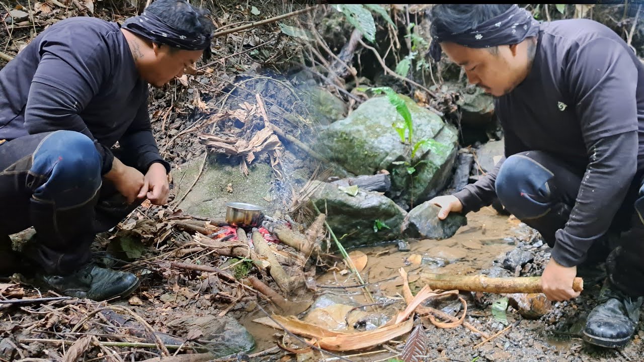 How our ancestors used natural Poison vine to catch fish . - YouTube