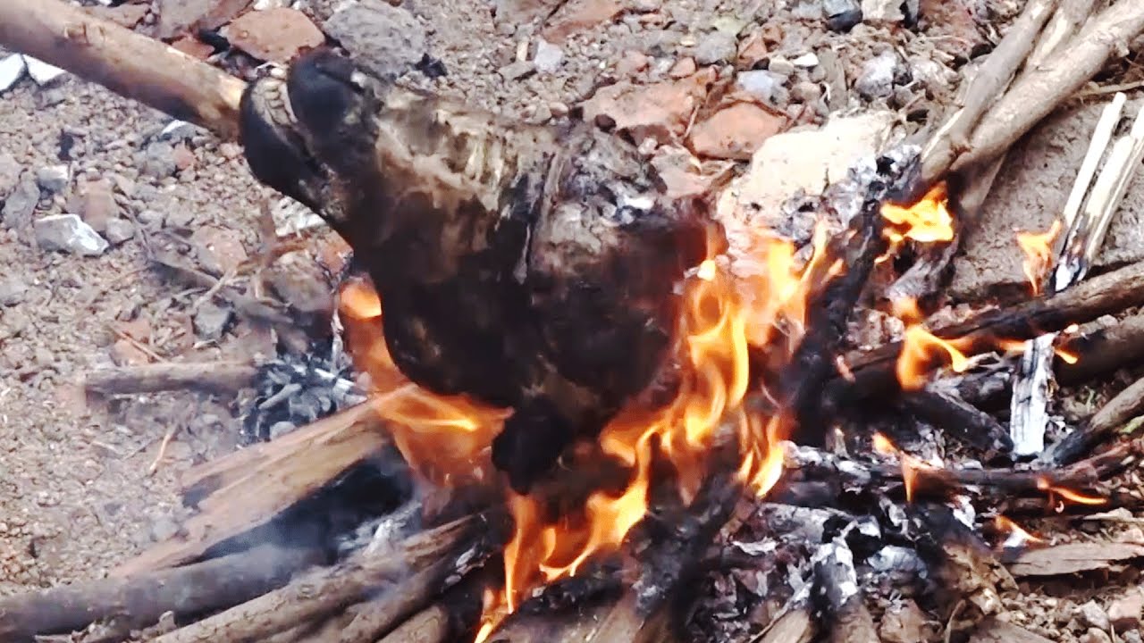Goat Head Recipe Fastest Goat Head Cutting Sheep s Head Stew Goat Head Recipe Fastest Goat Head Cutting Sheep s Head Stew