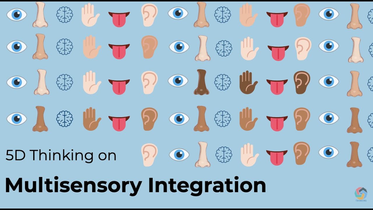 5D Thinking on Multi-sensory Integration - YouTube