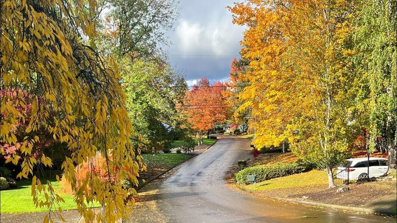 Fall colors of Oregon, 2023 - YouTube