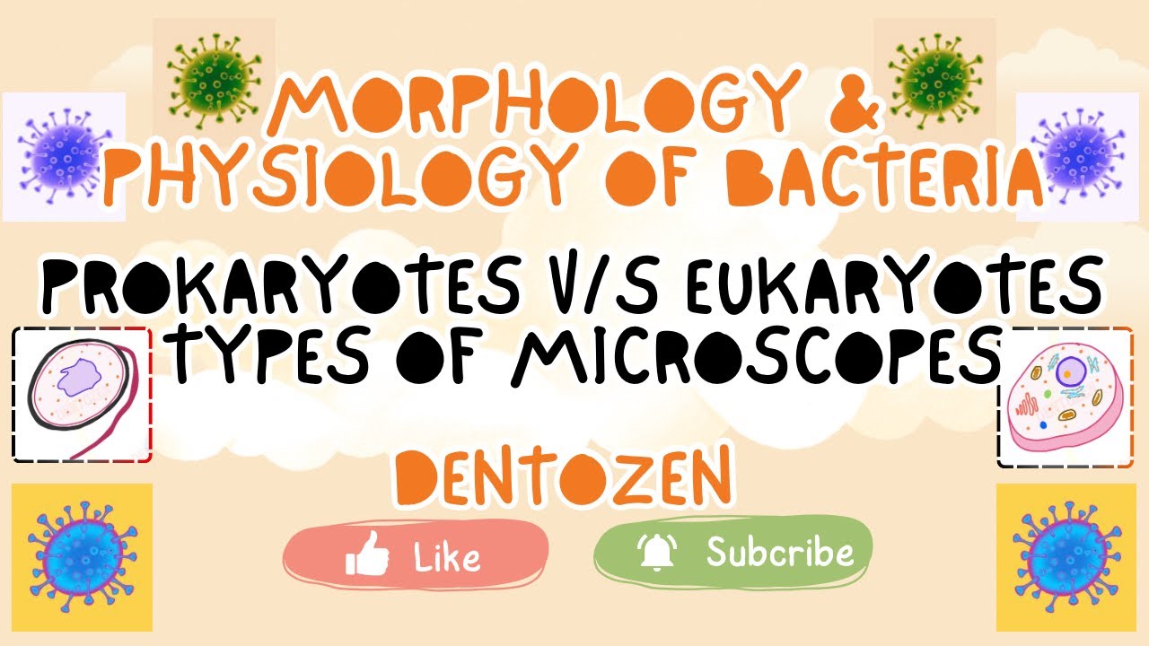 Prokaryotes versus Eukaryotes | Types of Microscopes - YouTube