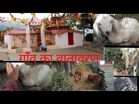 pahado ke बीच me सुंदर gaanv maikhanda uttarakhand#kedarvalley# - YouTube