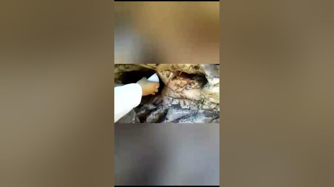 جولة في الجبل مع البنات والمنضر والطبيعة وتاكلاختاݣانت 😋 ️ Youtube