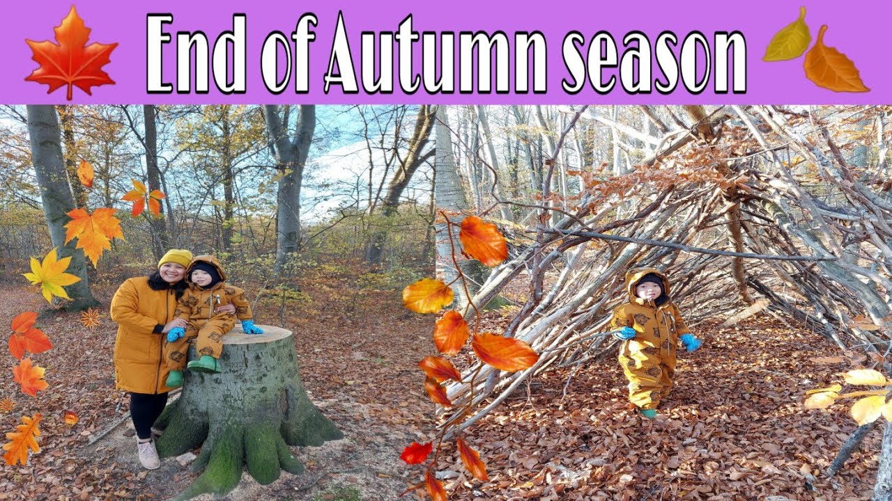 End of Autumn season|@Pobrengwaray453 - YouTube