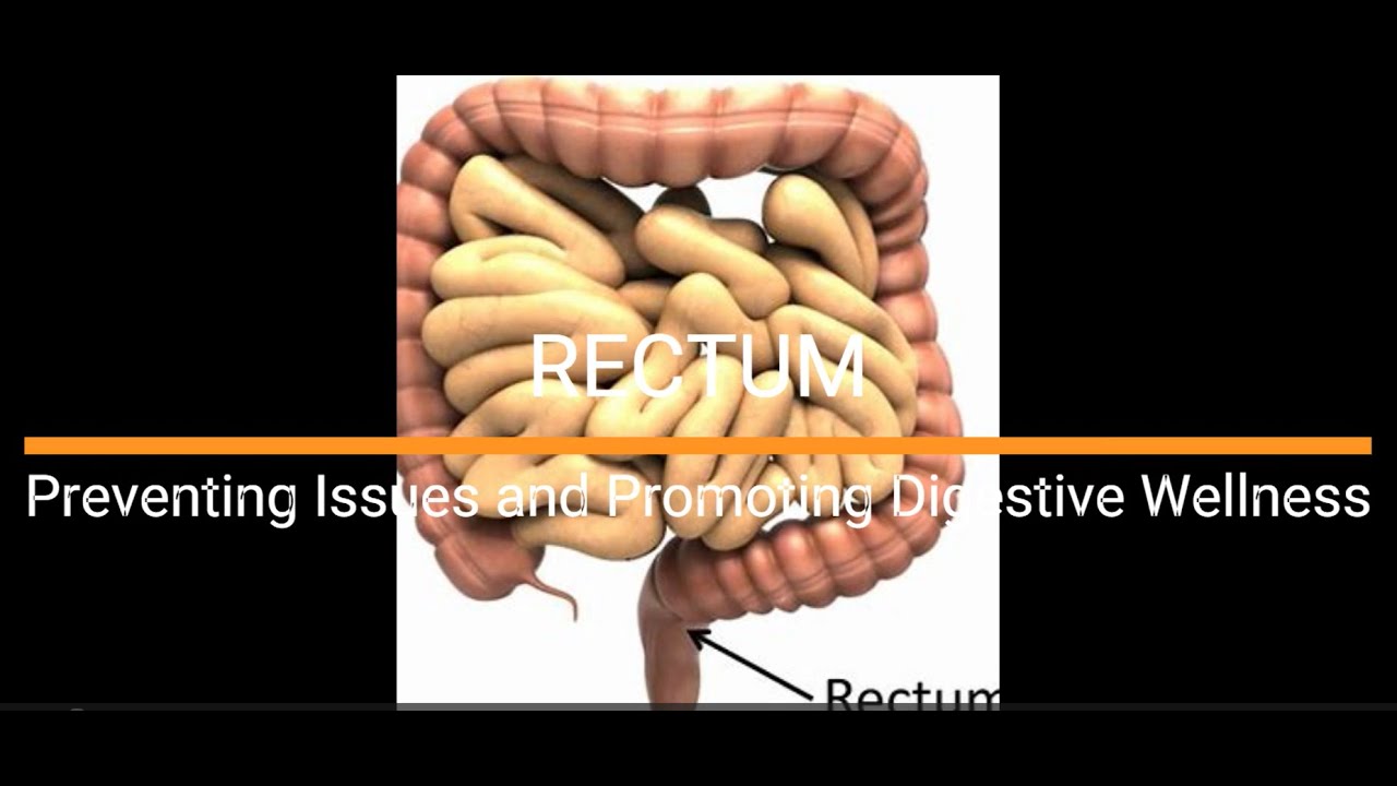 Practices for a Healthy Rectum Preventing Issues and Promoting Digestive Wellness - YouTube