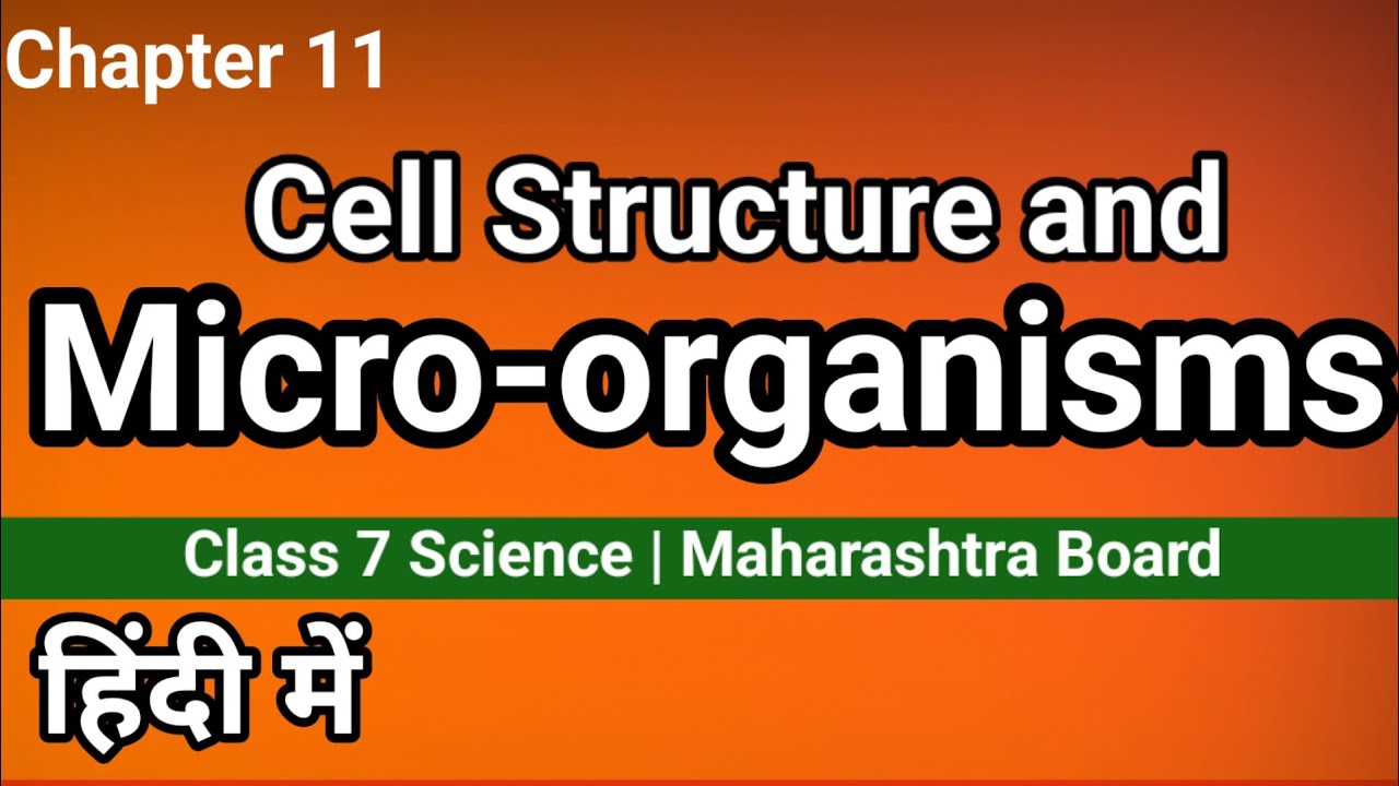 7 Science Hindi • Cell Structure and Microorganisms - YouTube