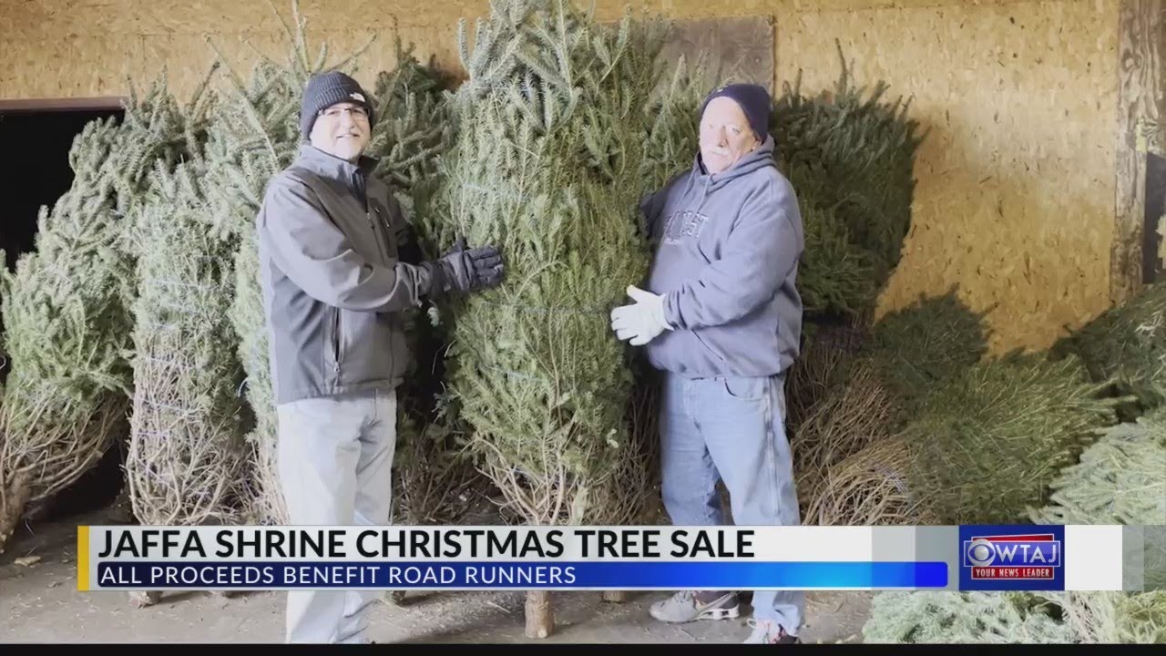 Jaffa Shrine selling Christmas trees to benefit Road Runners - YouTube