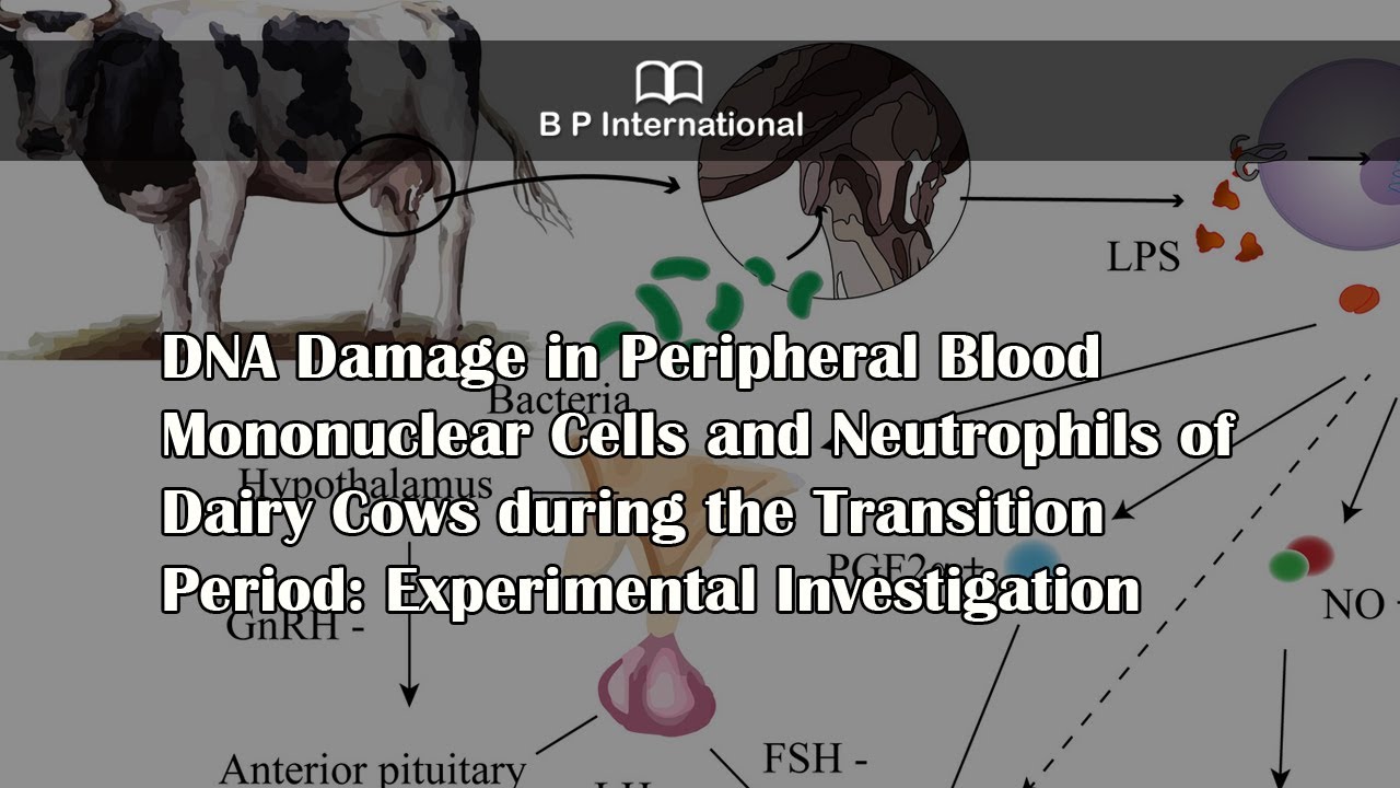 DNA Damage in Peripheral Blood Mononuclear Cells and Neutrophils of ...