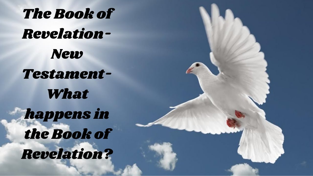 The Book of Revelation | New Testament in English | What happens in the ...