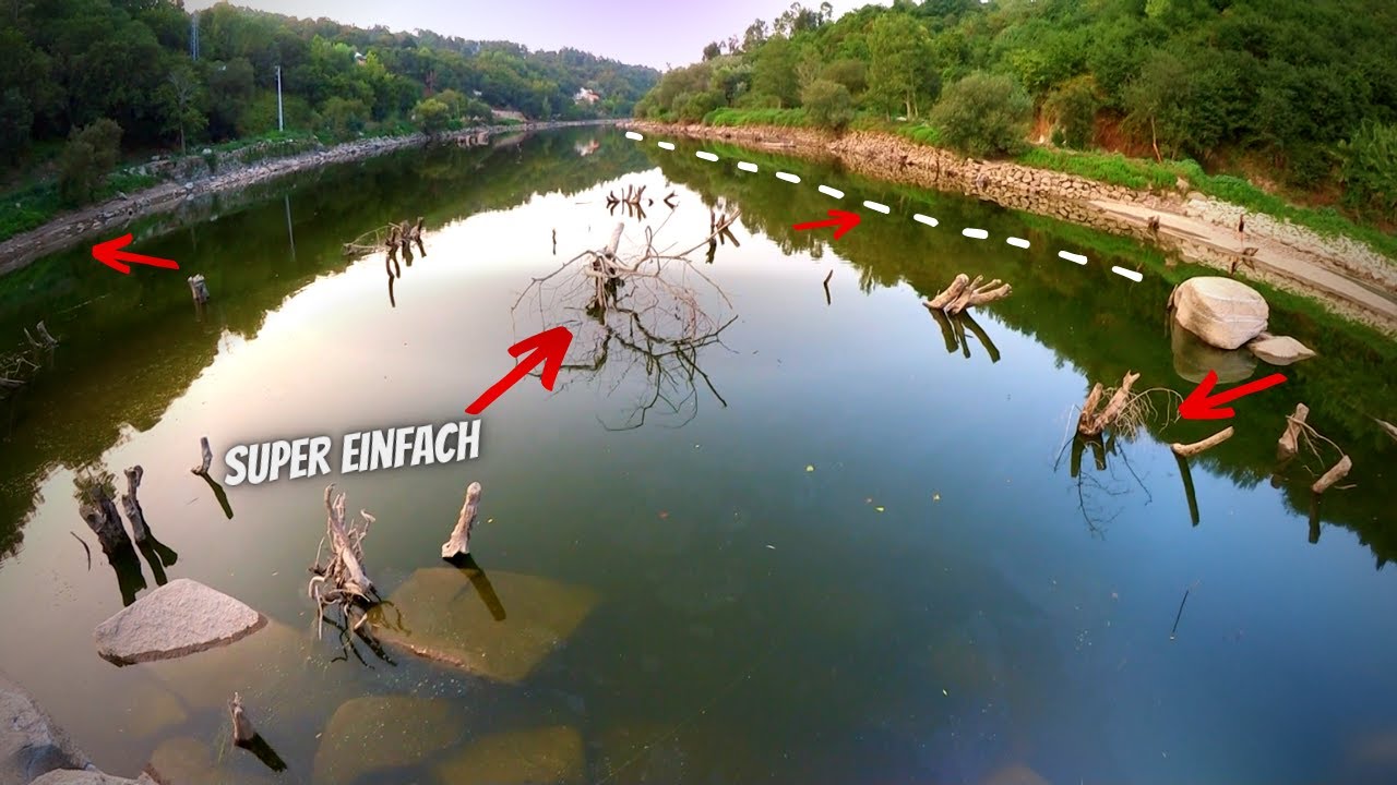 Das sind die HOTSPOTS in einem See/ Bass Fishing / Schwarzbarsch angeln ...