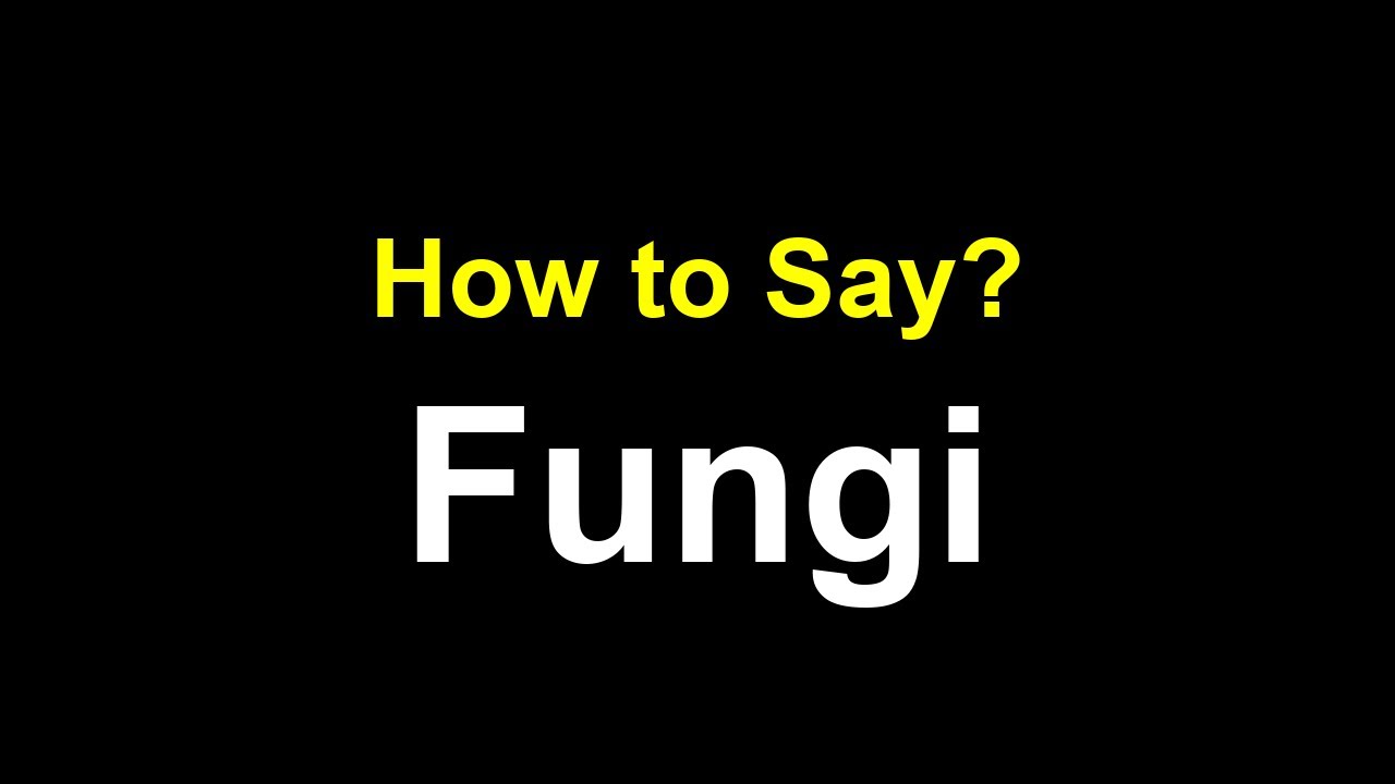 How to Pronounce Fungi Correctly (American & British Accent) - YouTube