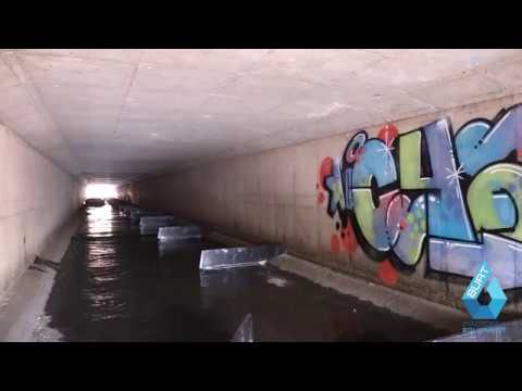 Noroton River Fish Ladder Video - YouTube