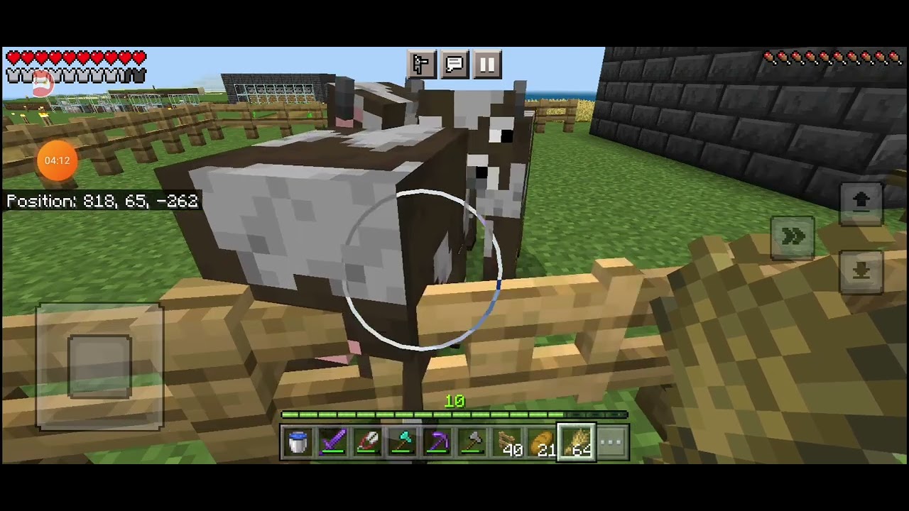 Making a cow farm For leathers Minecraft Smp server 1.19.61 with voice ...
