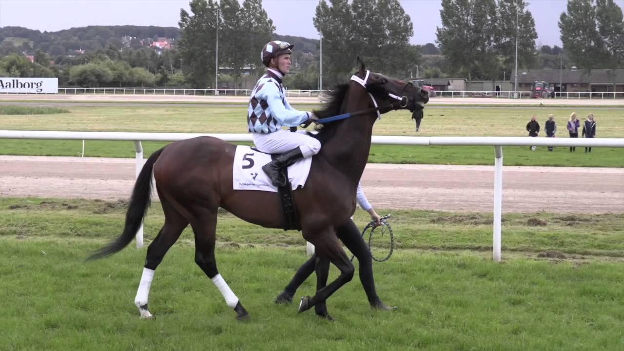 Marc stott Champion States NKI 2016 - YouTube