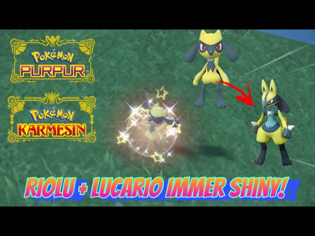 Shiny Riolu And Lucario
