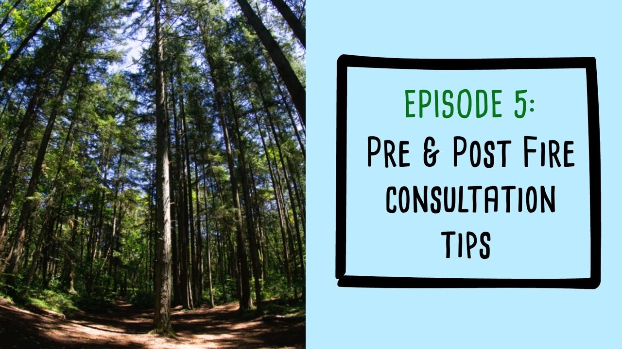 Episode 5: Pre & post-fire consultation tips - YouTube
