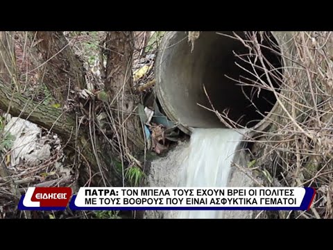 ΠΑΤΡΑ: ΤΟΝ ΜΠΕΛΑ ΤΟΥΣ ΕΧΟΥΝ ΒΡΕΙ ΟΙ ΠΟΛΙΤΕΣ ΜΕ ΤΟΥΣ ΒΟΘΡΟΥΣ ΠΟΥ ΕΙΝΑΙ ...
