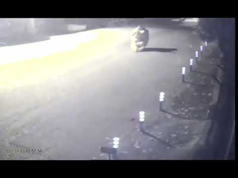 Malatya Olay Tv… Çuval gidip PTT ‘ye ait ATM’de para çalan şüpheliyi polis yakaladı