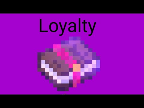 What loyalty book do in minecraft - YouTube