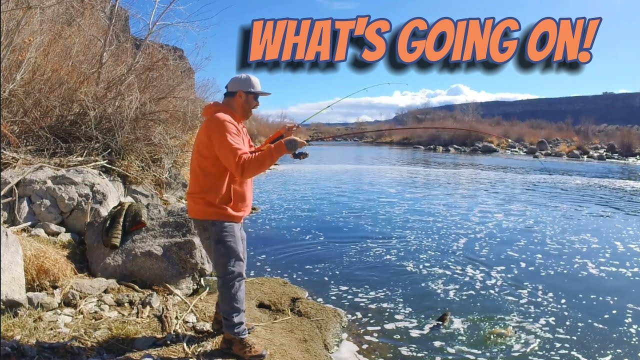 February Bass Fishing the SNAKE RIVER (Unexpected Catch's invasive ...