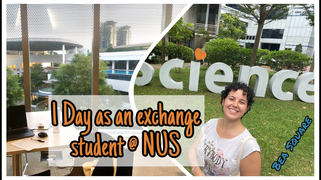 Day in the life as an exchange student at NUS | Bea Square - YouTube
