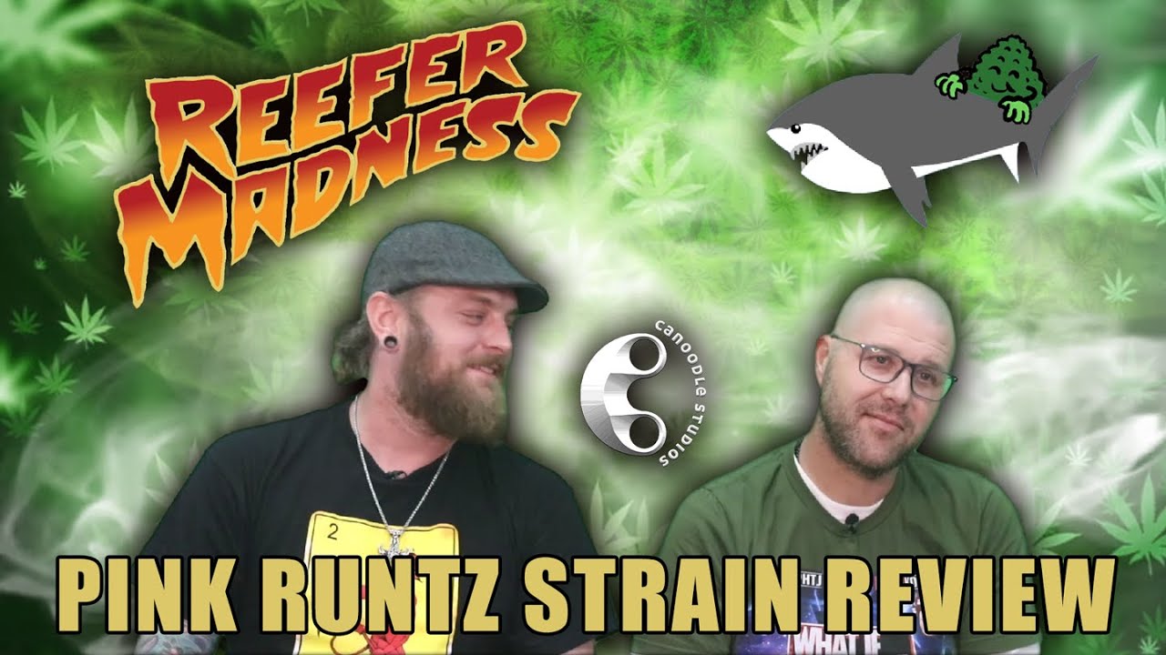 Pink Runtz - Strain Review - Reefer madness - YouTube