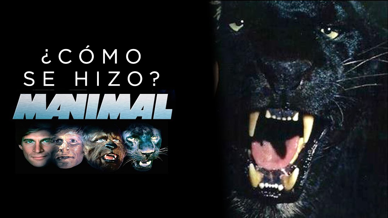 Las Increíbles Transformaciones de Manimal | #AyerNomásShampoo - YouTube