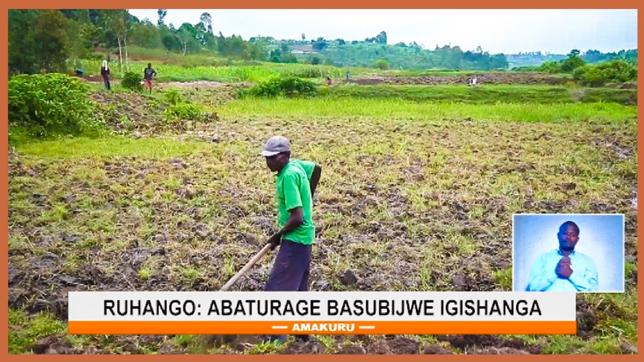 Abaturage muri Ruhango basubijwe igishanga nyuma y'imyaka 12 - YouTube