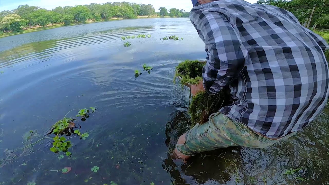 real life fishing - YouTube