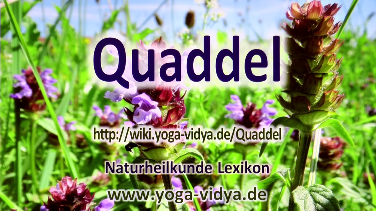 Quaddel - YouTube