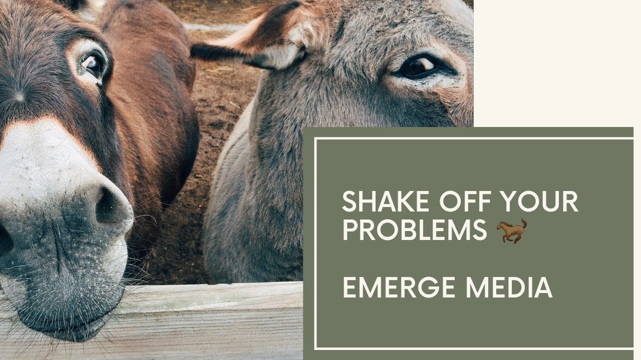 SHAKE OFF YOUR PROBLEMS || LIFE LESSONS SERIES S3 E4 || KINGSLEY OFOSU ...
