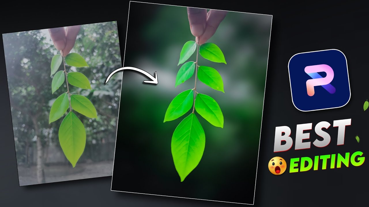 Photoroom Amazing Background Blur Editing Tutorial - YouTube