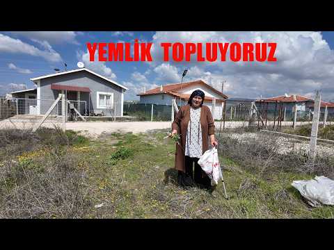 HATİCE HANIMLA YEŞİL CACIK DOĞADAN ESKİ BAHÇEMİZ