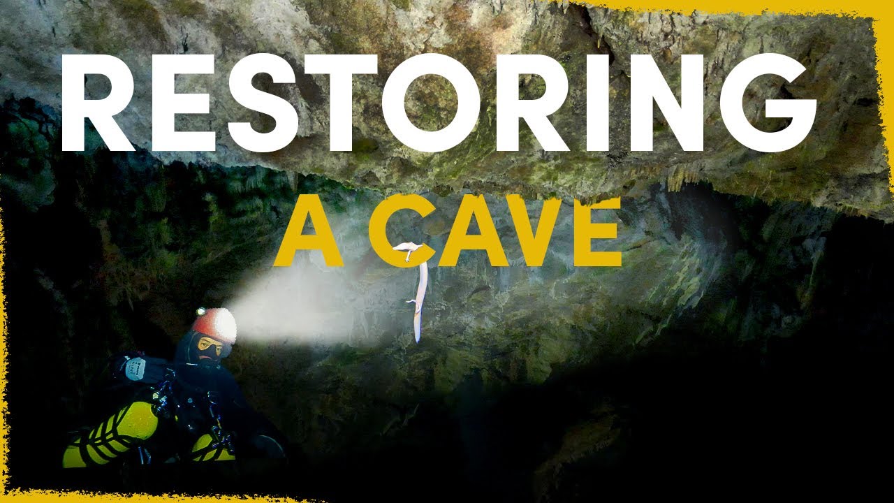 We tried to clean up this forgotten cave - here’s what happened - YouTube