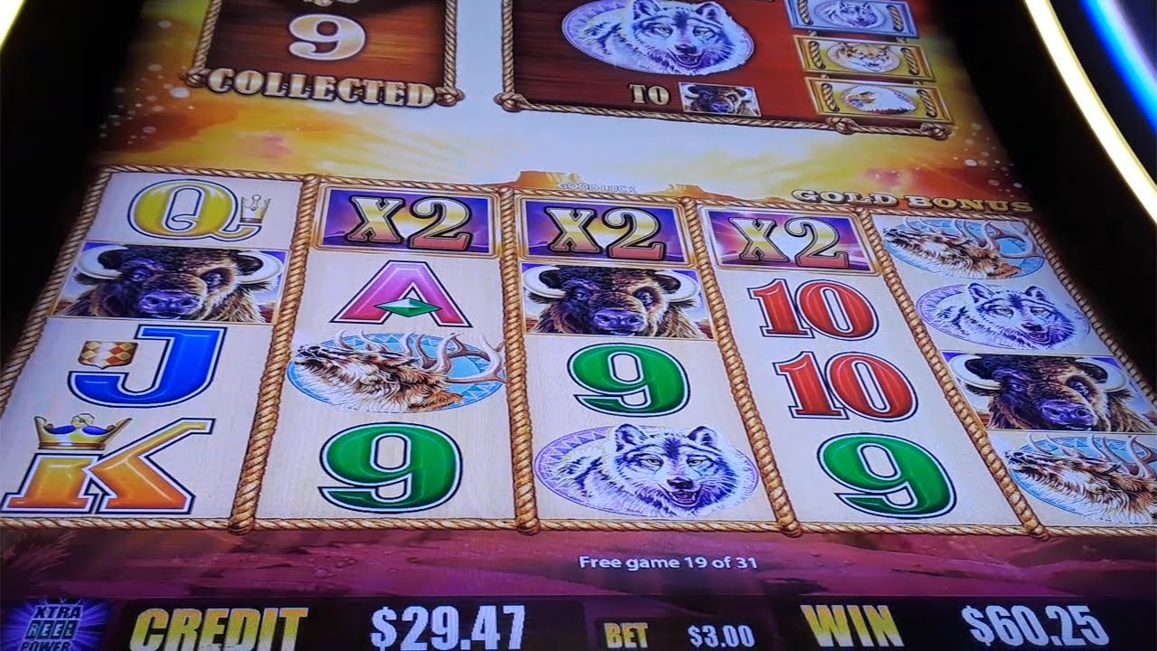 Nice 3 Sunsets x2x2x2 GREAT BONUS WIN On BUFFALO GOLD Slot Machine ...