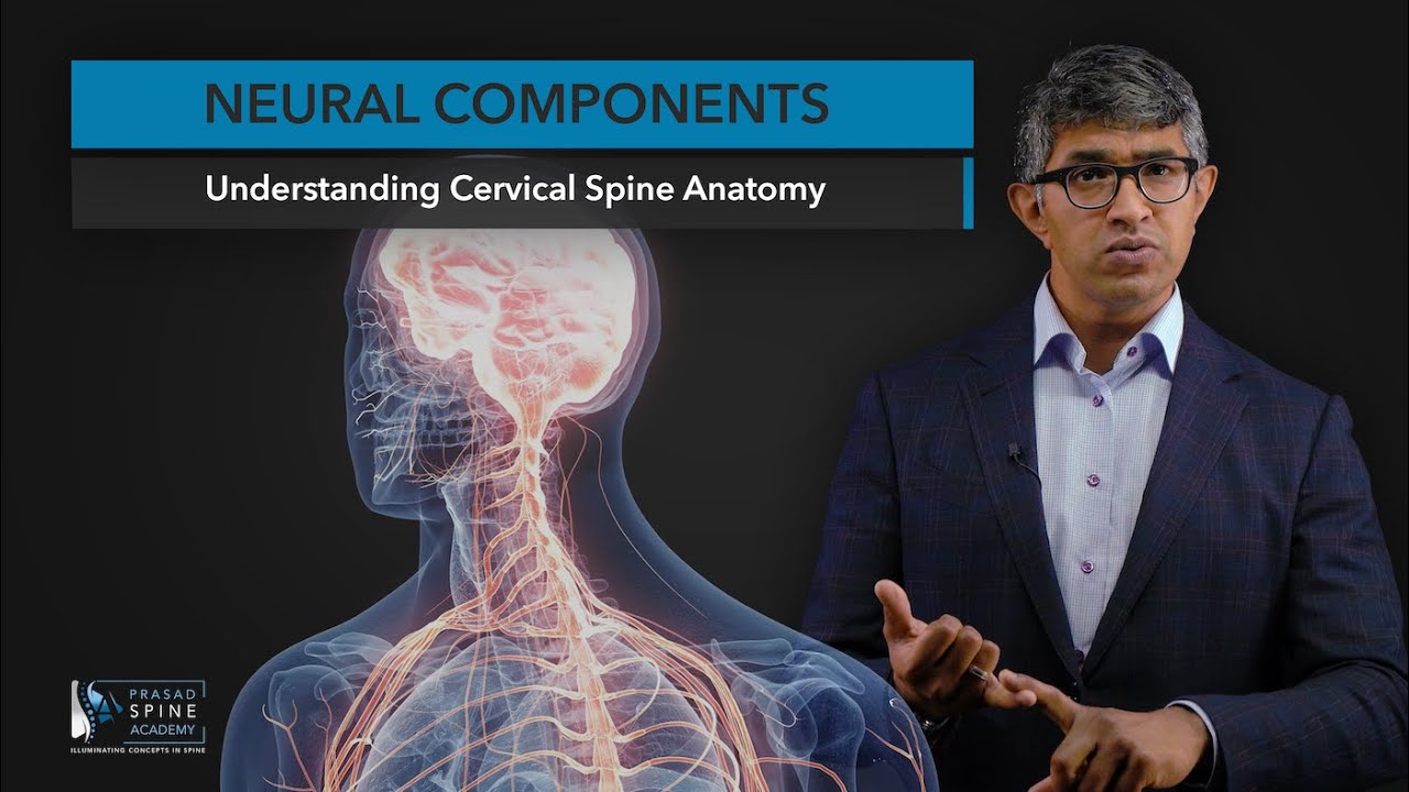 Neural Components of the Cervical Spine - YouTube