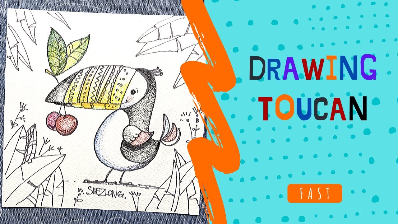 Toucan-easy to draw with SHEZLONG - YouTube