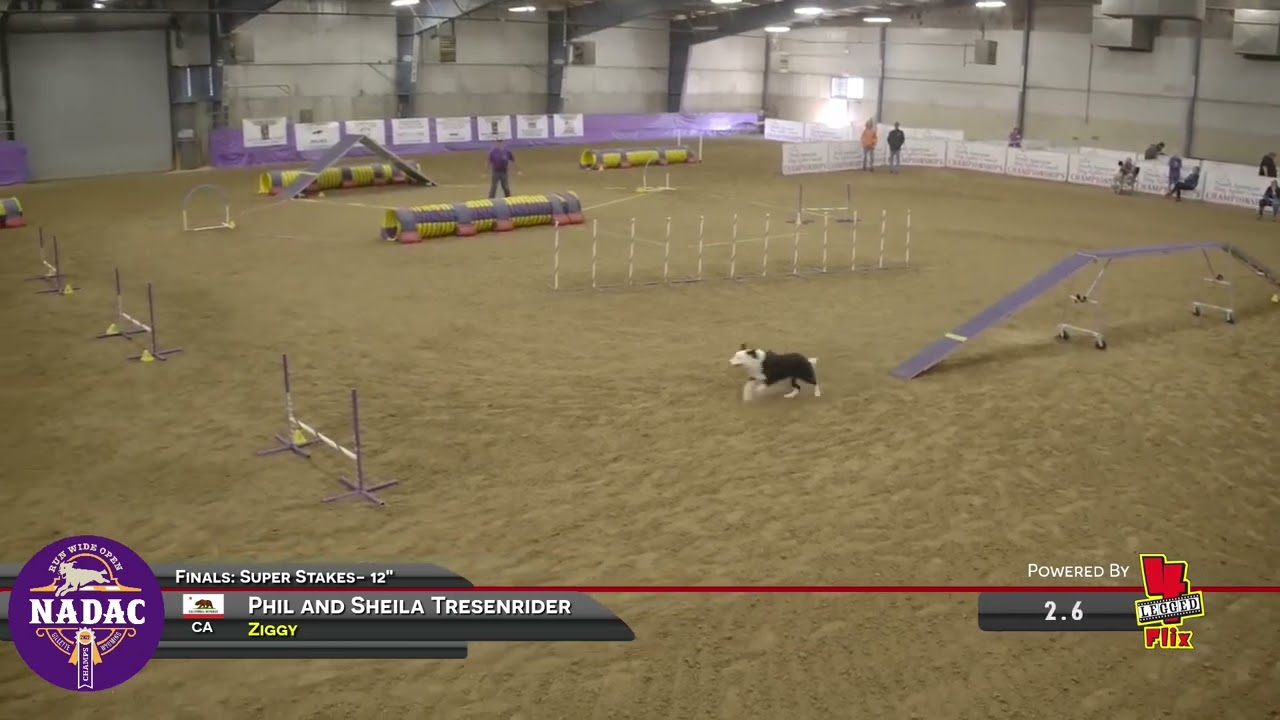 Final 2022 NADAC Champs - YouTube