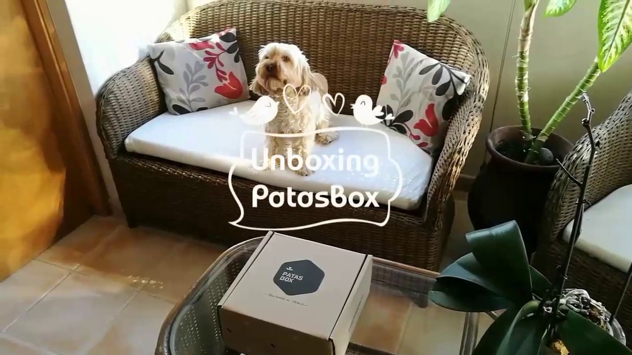 Unboxing Patasbox - Febrero 2017 - YouTube