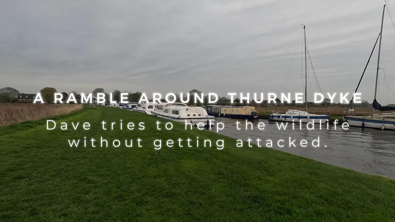 Norfolk Broads April 2023 - Part Sixteen - A Ramble At Thurne Dyke - YouTube