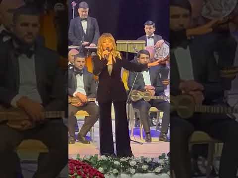 Brilliant Dadaşova — Bir Könül Sındırmışam | Canlı İfa