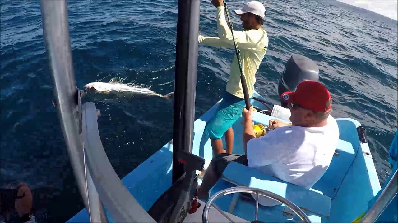 Giant Rooster Fish - YouTube