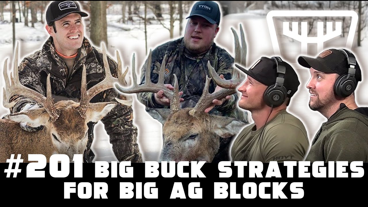Big Buck Strategies for Big Ag Blocks w/ TJ Eads & Keegan Bruner ...